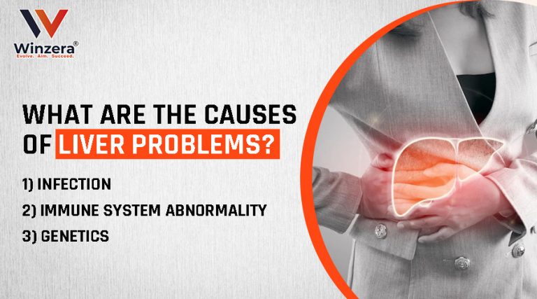 Liver Problems- Symptoms, Causes and Preventions
